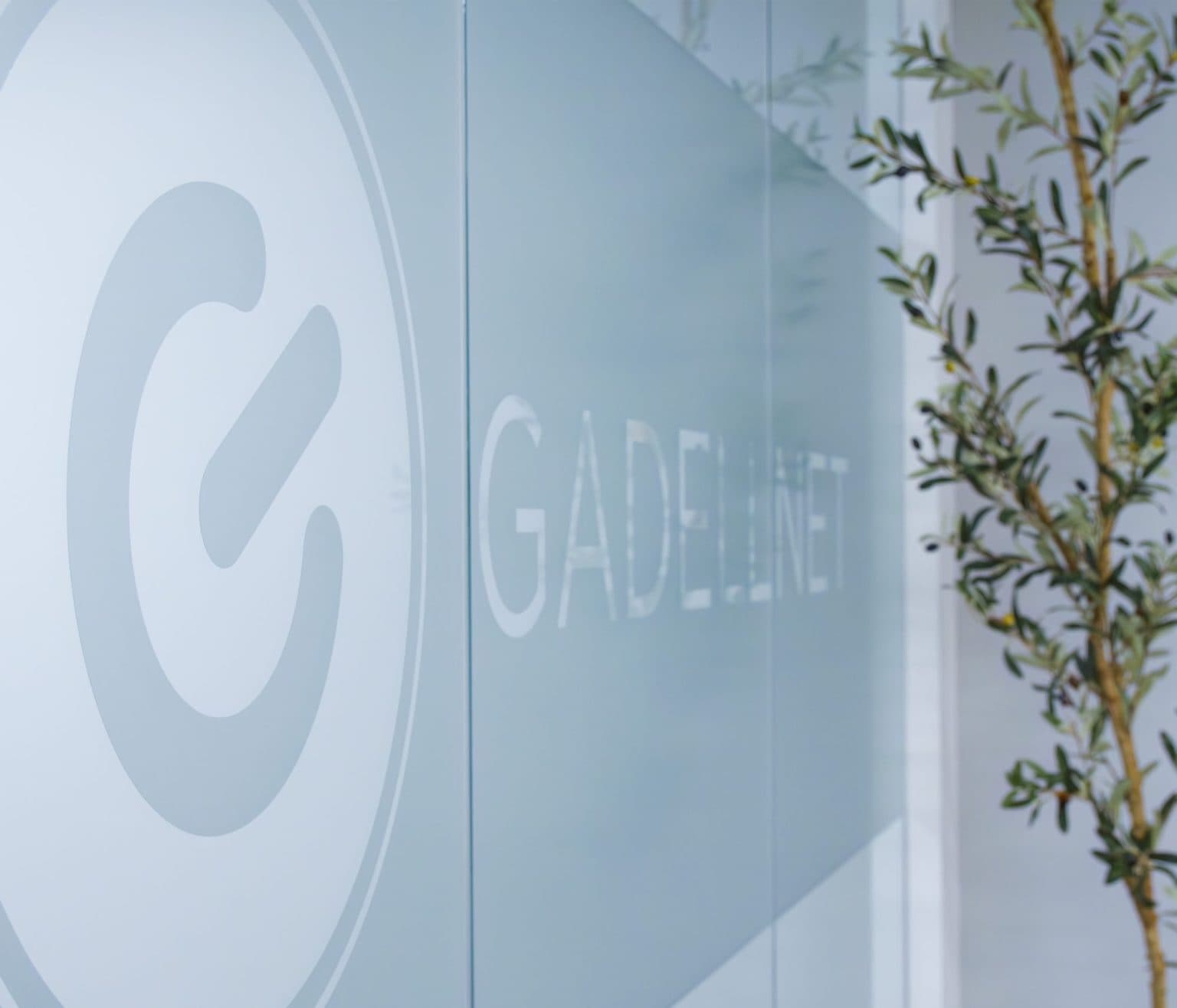 IT Solutions & Support Company - GadellNet
